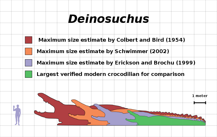 Deinosuchus - Fossil Wiki, the paleontology wiki