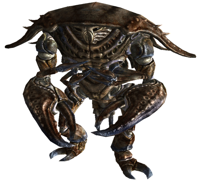 Mirelurk cacciatore - Fallout Wiki Mirelurk cacciatore - Fallout Wiki