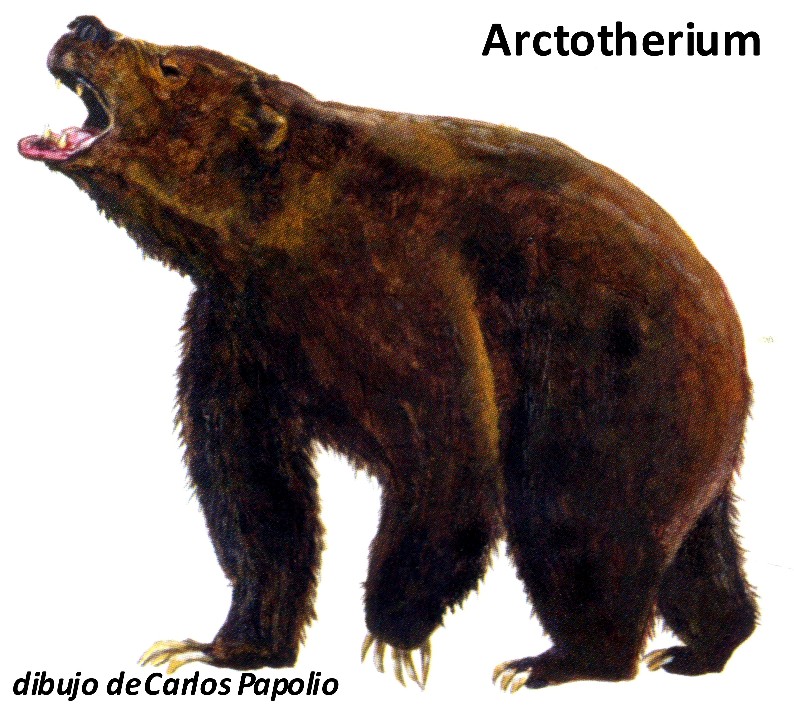 Arctotherium - Wiki Prehistórico