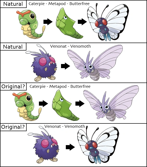 Pokemon Evolution Theories - FanTheories Wiki