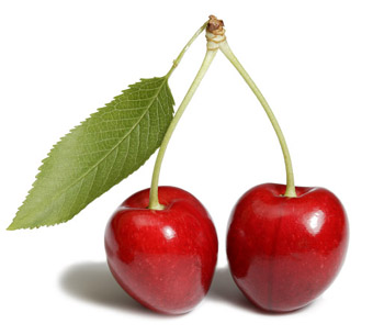 Cereza - Wiki Comida - Wikia