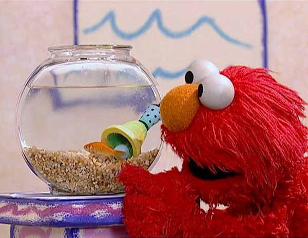 Elmo's World: Bells - Muppet Wiki
