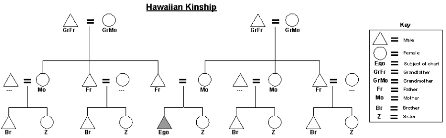 Hawaiian kinship - Familypedia