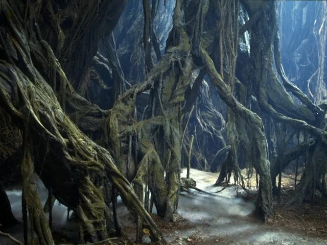 Images of Dagobah - Wookieepedia, the Star Wars Wiki