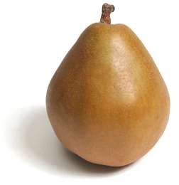 Taylor's Gold pear - Recipes Wiki