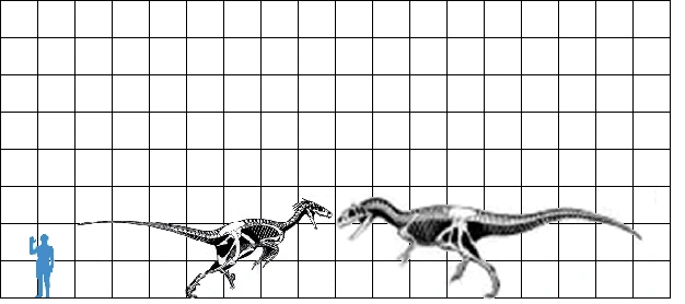 Megaraptor Size Comparison Velociraptor Vs. Utahraptor YouTube
