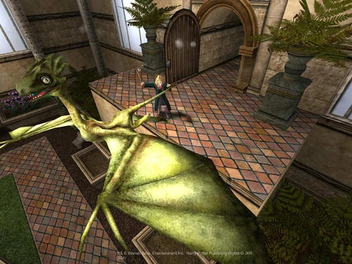 Transfiguration Harry Potter Wiki