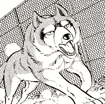 Silver Fang - Ginga Wiki - Gin, Ginga: Nagareboshi Gin