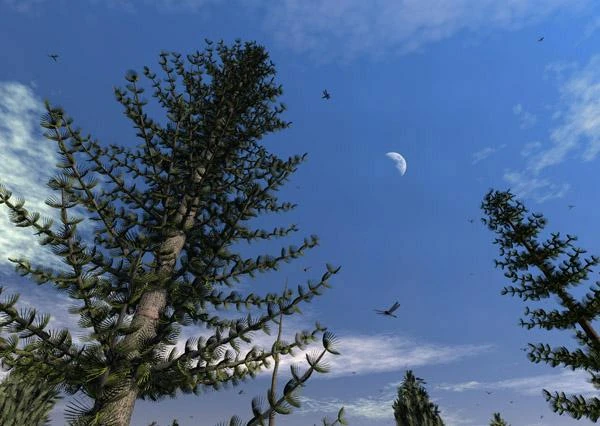 Lepidodendron - Prehistoric Earth Wiki