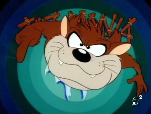 Fotos tazmania - Imagui