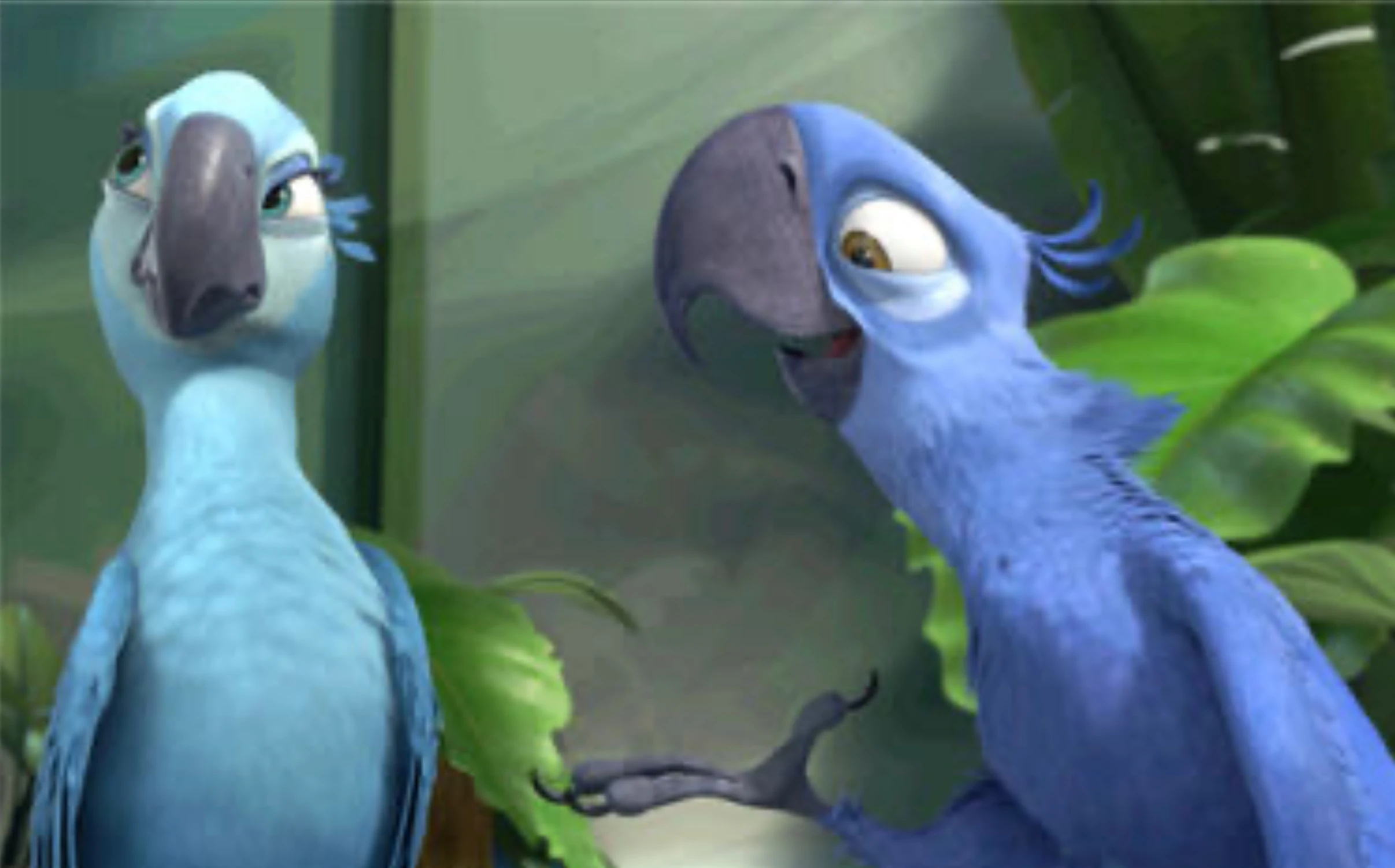 Image - Rio blue and jewel.jpg - Rio Wiki