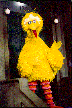 Big Bird - Fictional Characters Wiki