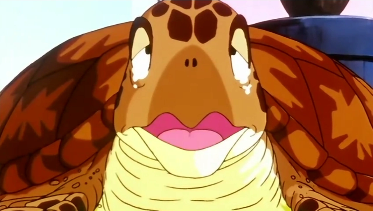 Cowboy boots from the 70's made out of sea turtle. : r/mildlyinteresting