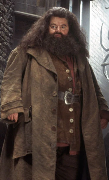 Hagrid Quotes. QuotesGram