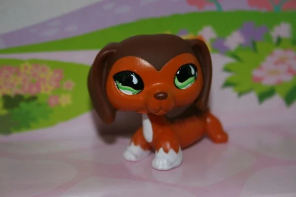 Littlest Pet Shop Dachshund 675 - Littlest Pet Shop Wiki