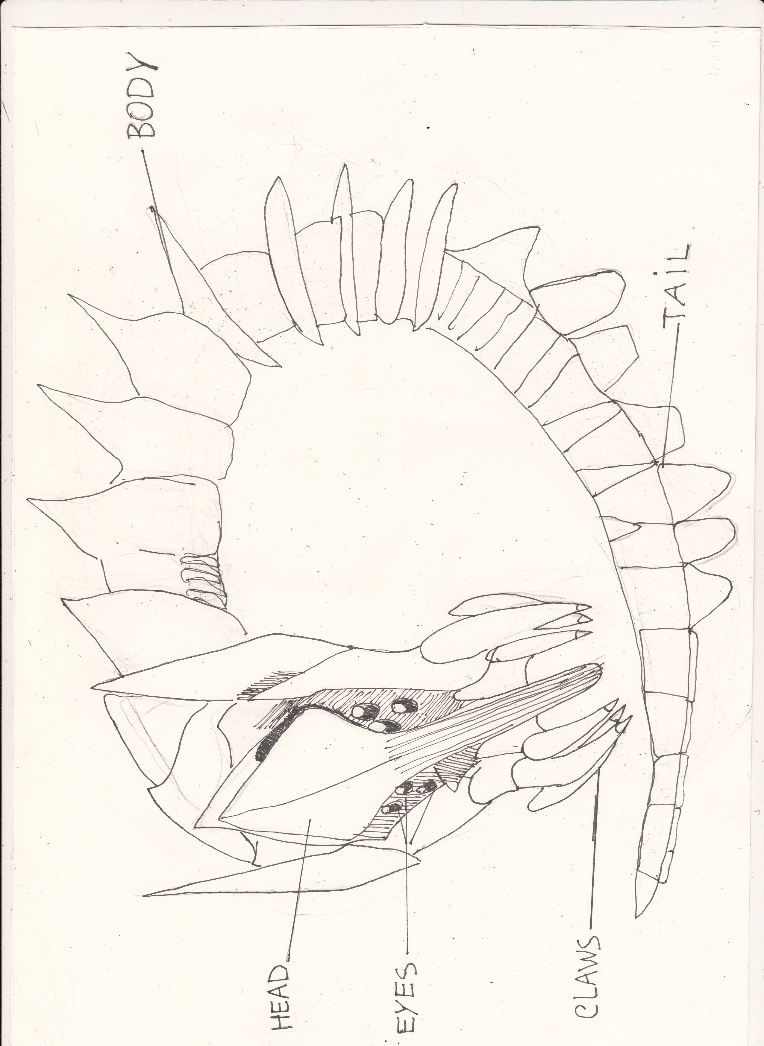 Image - Chimera Pure.jpg - The Resistance Wiki - Fall of Man ...