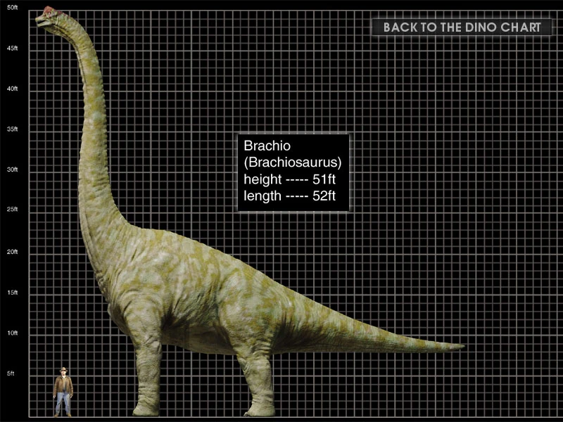 Brachiosaurus - Jurassic Park Wiki