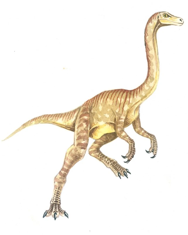 Gallimimus - JungleKey.fr Image