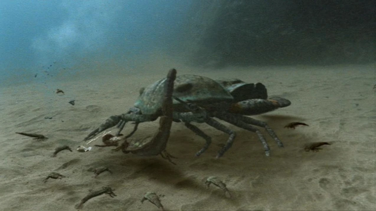 Pterygotus - Cool Dino Facts Wiki