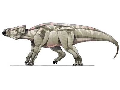 Microceratops - Jurassic Park Wiki