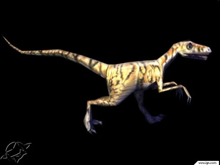 Troodon - Jurassic Park Wiki