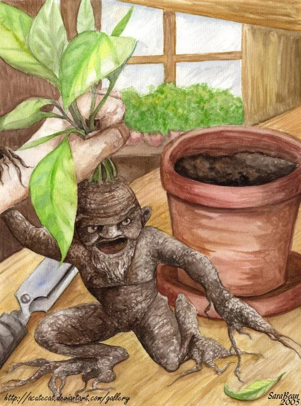 Mandrake - Warriors Of Myth Wiki