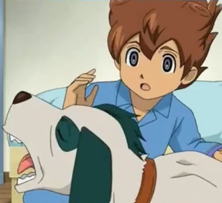 Arion Sherwind - Wiki Inazuma Eleven