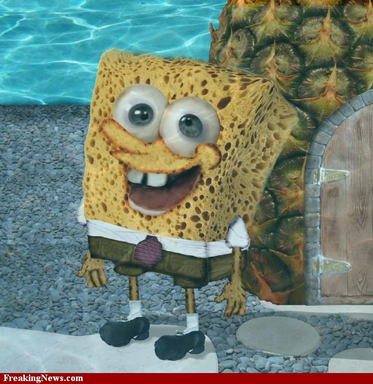 File:The-Real-Spongebob--49993.jpg