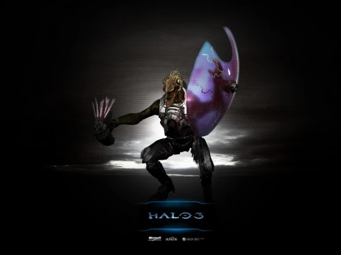 Combat Evolved Jackal By