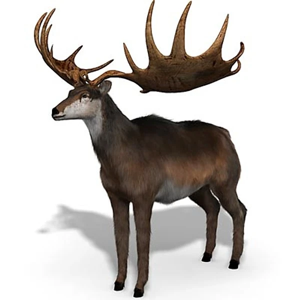 Megaloceros - Wiki Prehistórico