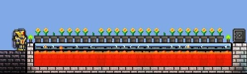 [Question] Regarding fireblossem / seeds :: Terraria General Discussions