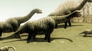 Paralititan - Dinopedia - the free dinosaur encyclopedia