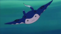 Mantine - WikiDex, la enciclopedia Pokémon