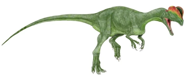 Dilophosaurus - Wiki Prehistórico