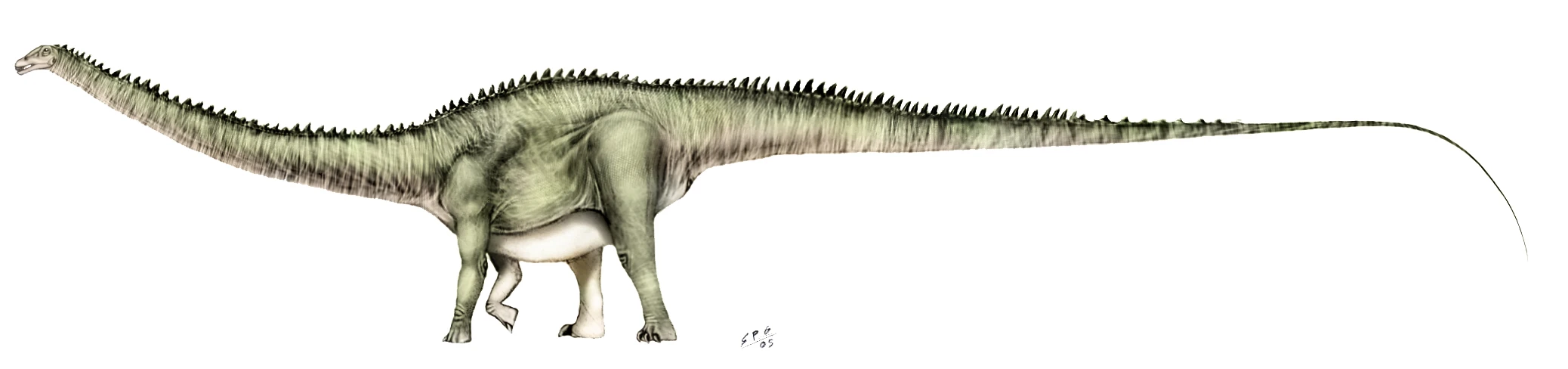 Diplodocus - Wiki Prehistórico