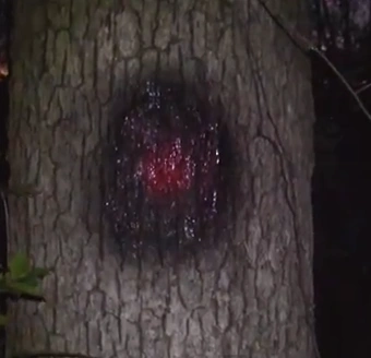 Image - SYMBOL.png - The Slender Man Wiki