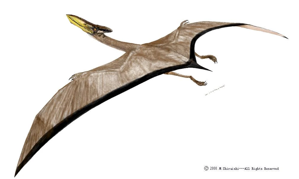 Quetzalcoatlus - Wiki Prehistórico