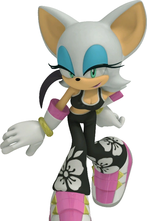 Rouge The Bat Sonic Riders