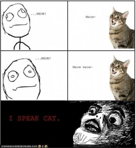 Image - Cat rage meme comics.jpg - Adventure Time Wiki - Wikia