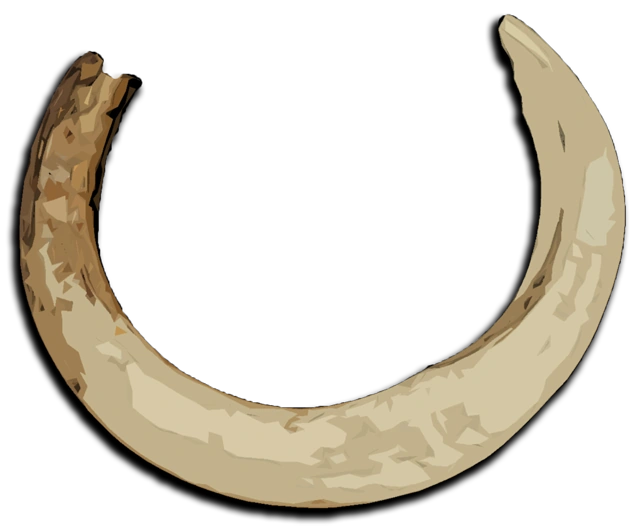 Boar Tusk