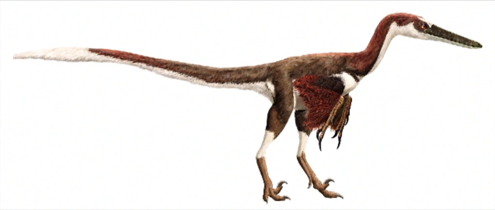 Austroraptor - Dinosaur Alive Wiki