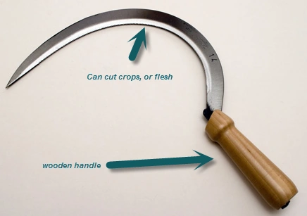 [Suggestion/Idea] Paddy/Rice Field, Rope and more. : r/playrust