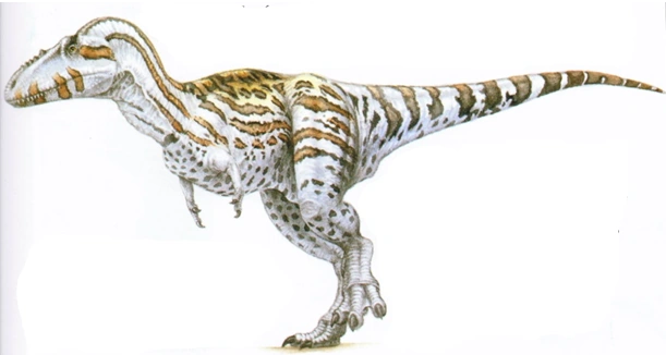 Image - Alioramus.png - Dinopedia - the free dinosaur encyclopedia