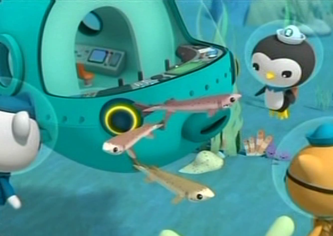 Fish Octonauts Wiki
