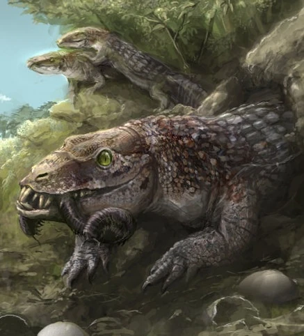 Buru - JungleKey.in Image #50