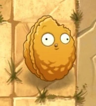 Image - Wall-nut First Degrade.jpg - Plants vs. Zombies Wiki, the free ...