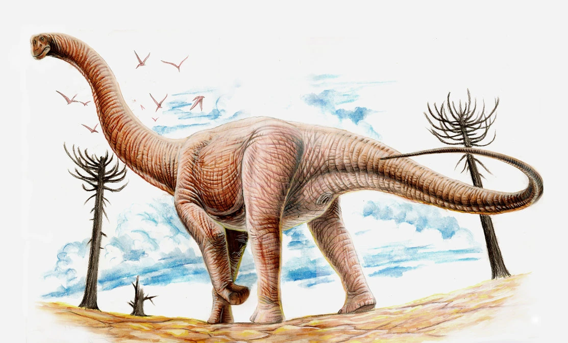 Primitive Titanosaurs - Dinopedia - the free dinosaur encyclopedia