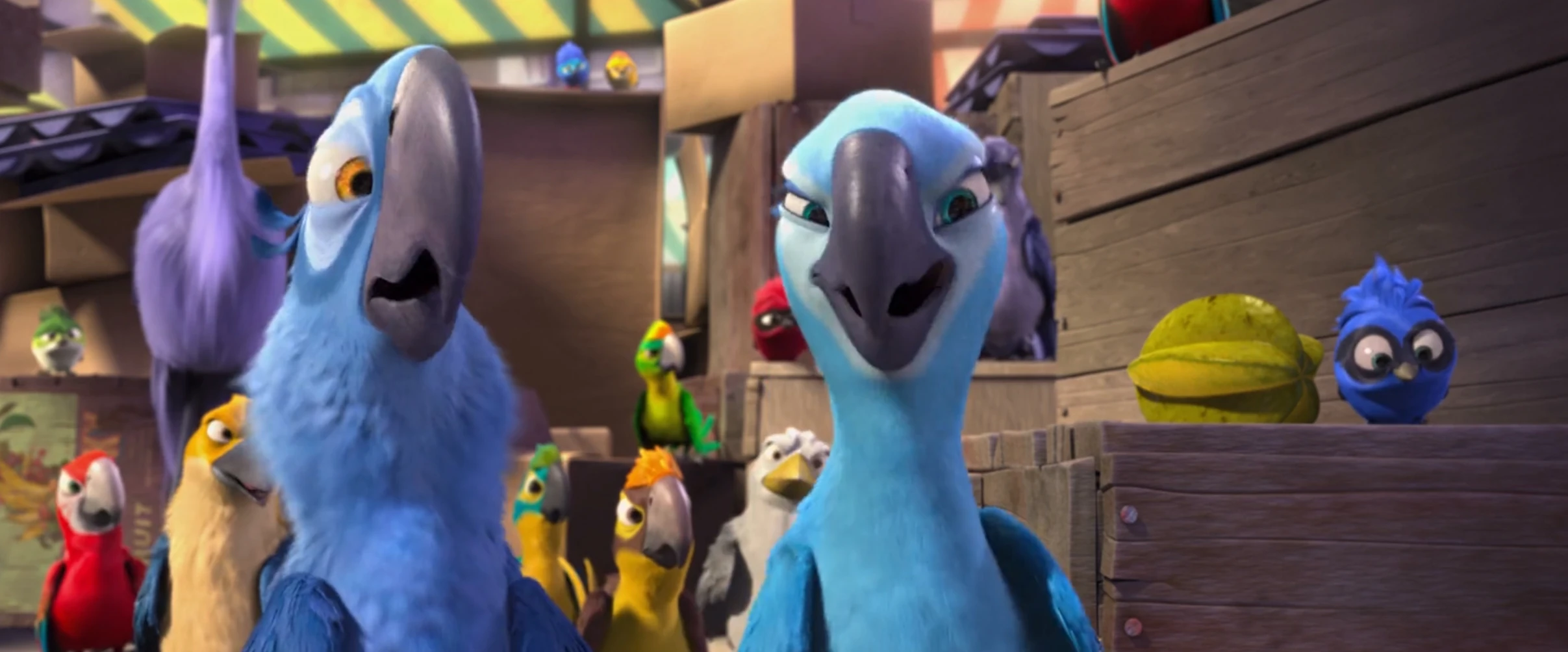 Image - Rio and jewel by kludd17-d3dp1u5.jpg - Rio Wiki