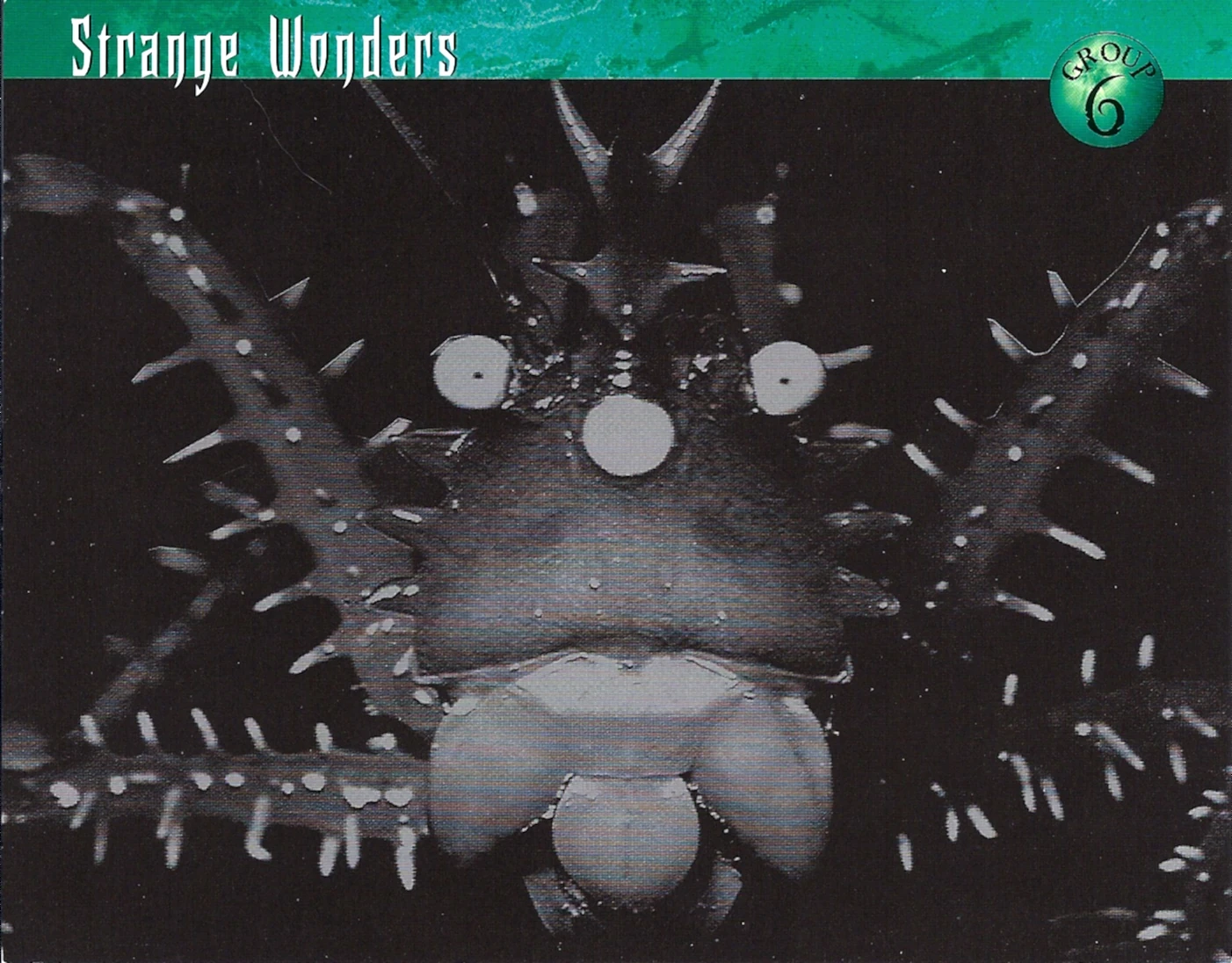 Strange Wonders - Wierd N'wild Creatures Wiki