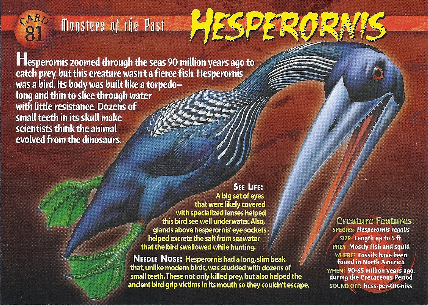 Hesperornis - JungleKey.fr Image